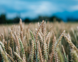 Login | Nutrien Rewards